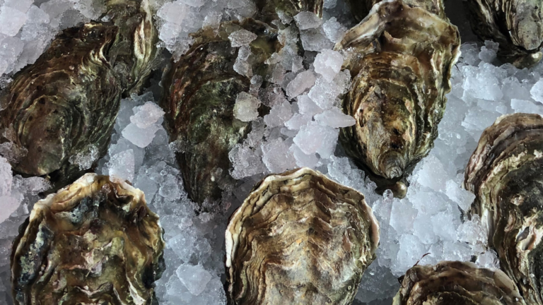 High pressure processing (HPP) for inactivating viruses in UK oysters ...