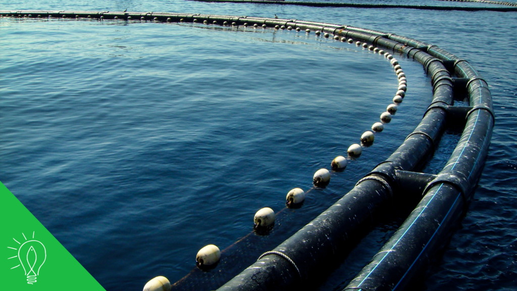 ZOEX for Aquaculture (RD192) - Seafood Innovation Fund